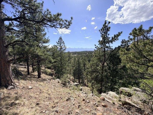Schulze Ranch Rd, Westcliffe, CO 81252