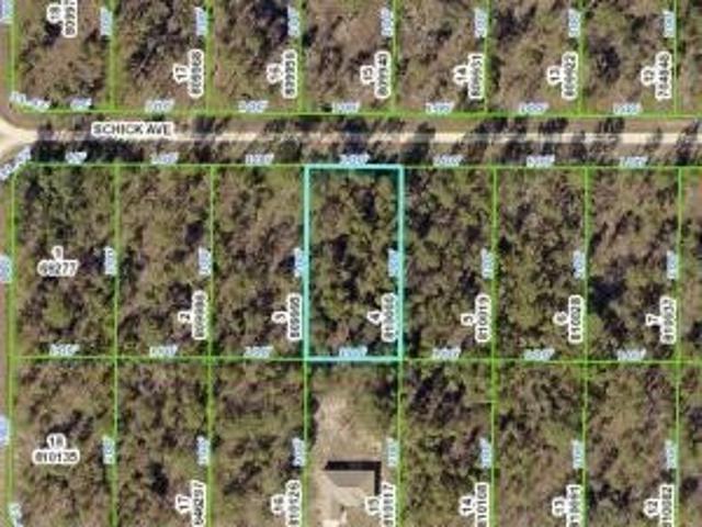 Schick Ave Lot 4, Weeki Wachee, FL 34614