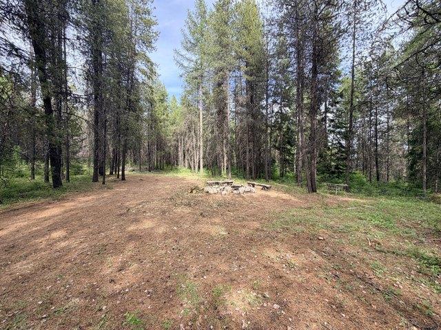 Schlegel Ranch Rd, Ione, WA 99139