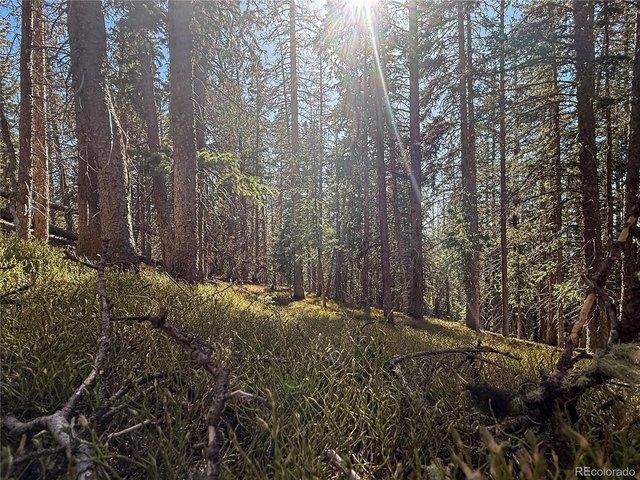 Schluetter Rd Lot 6530, Fort Garland, CO 81133
