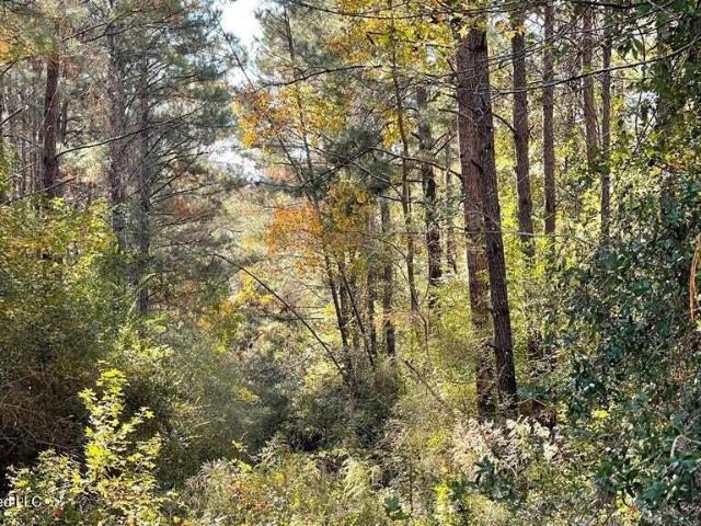Schmidt Road, McComb, MS 39648