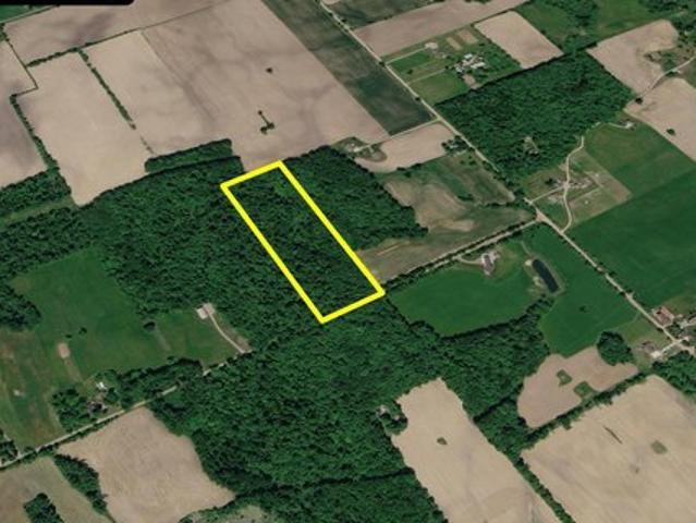 Schmitz Rd, Chelsea, MI 48118