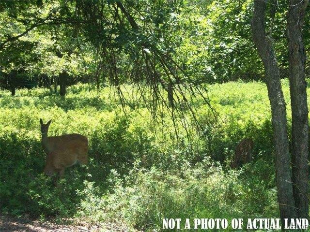 Schochs Mill Rd, Tunkhannock, Plot For Sale