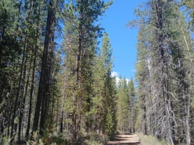Schoonover 5 Rd Lot 3600, Crescent, OR 97733