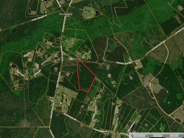 School Bus Rd, Jamestown, SC 29453