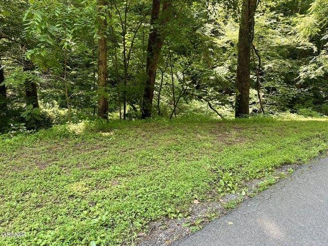 School House Gap Rd Lot 706A, Sevierville, TN 37876
