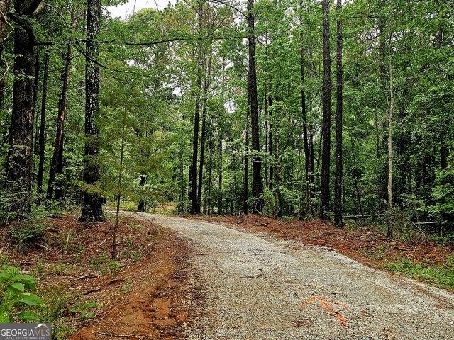 School House Hill Rd, Franklin, GA 30217