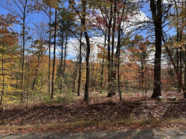 School House Ln, Lebanon, Plot For Sale