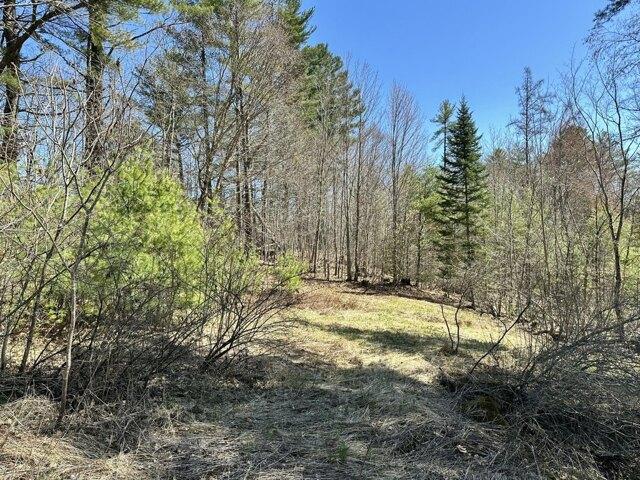 School St, New Portland, Plot For Sale