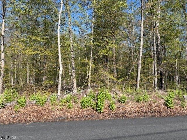 Schoolhouse Rd, Jefferson Township, Plot For Sale