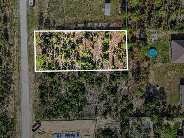 Scissorbill Ave, Weeki Wachee, FL 34614