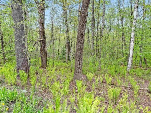 Scrabble Hill Rd Lot,duxbury, Plot For Sale