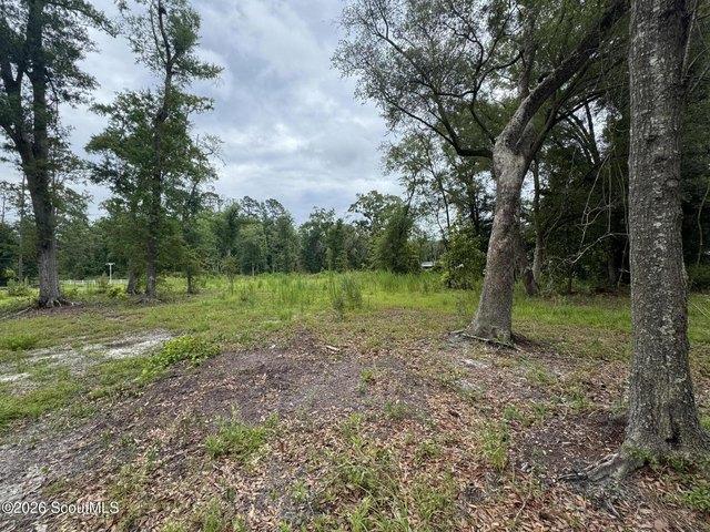 Scrabble Rd, Blackshear, GA 31516