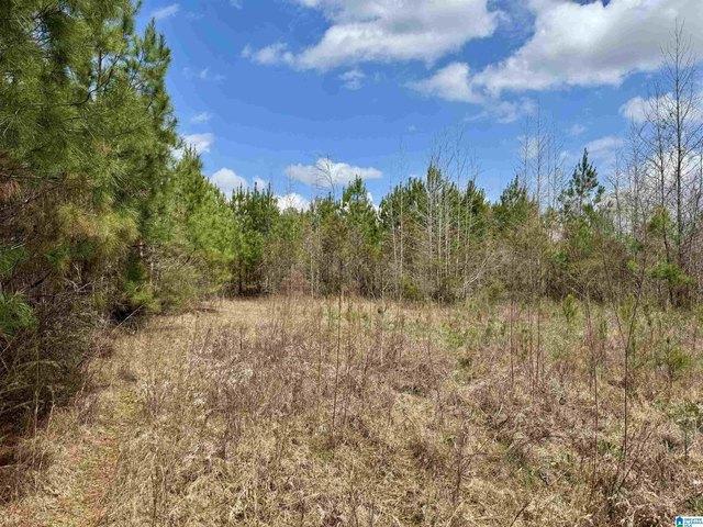 Scroggins 67 Acres Dr Lot 18, Tallassee, AL 36078