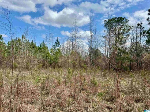 Scroggins Drive # 18.67 Acres