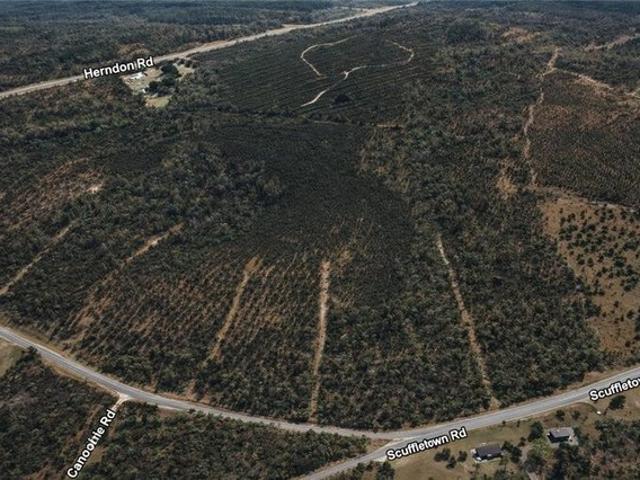 Scuffletown Rd, Garfield, GA 30425