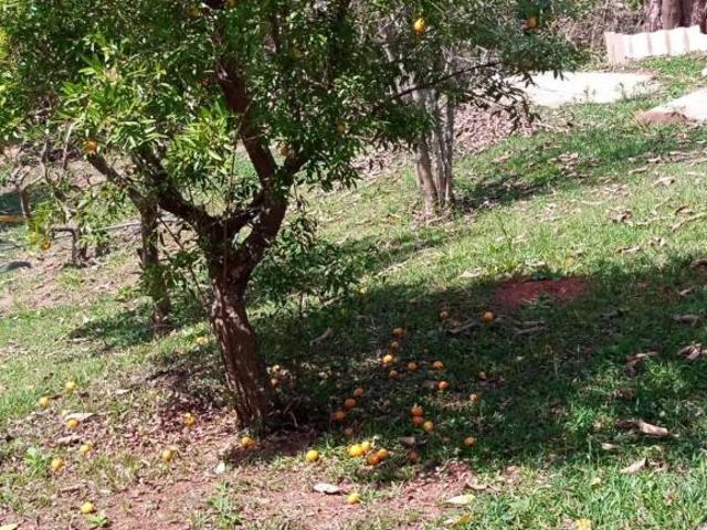 SA CHÁCARA A VENDA EM IGARATÁ BAIRRO BOA VISTA