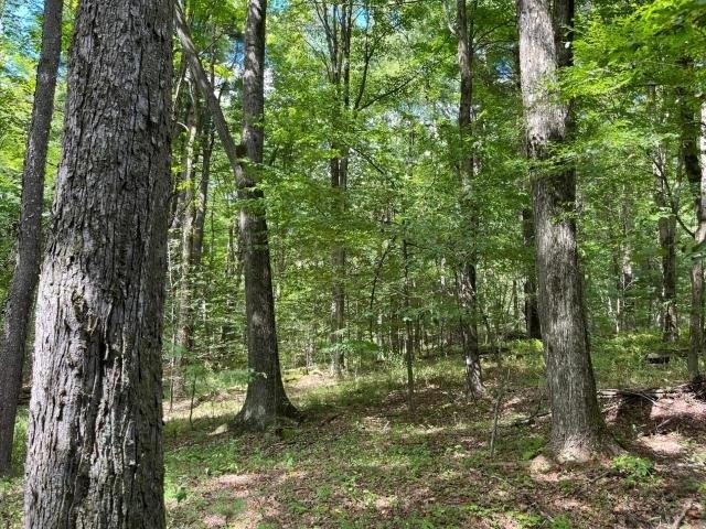 Samuelson Rd, Youngsville, PA 16371