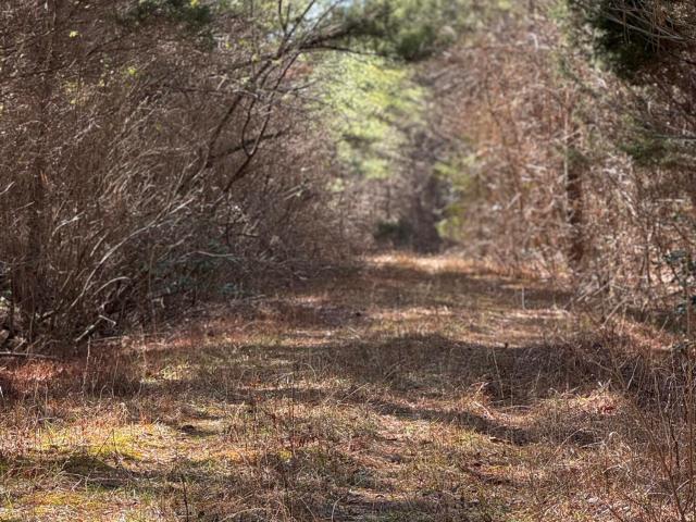Sam Summers Rd, Rockwood, TN 37854