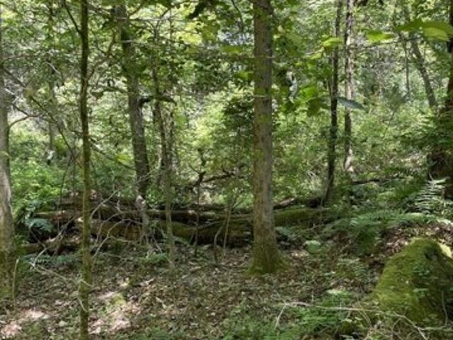 Sammys Ln, Freetown, Plot For Sale