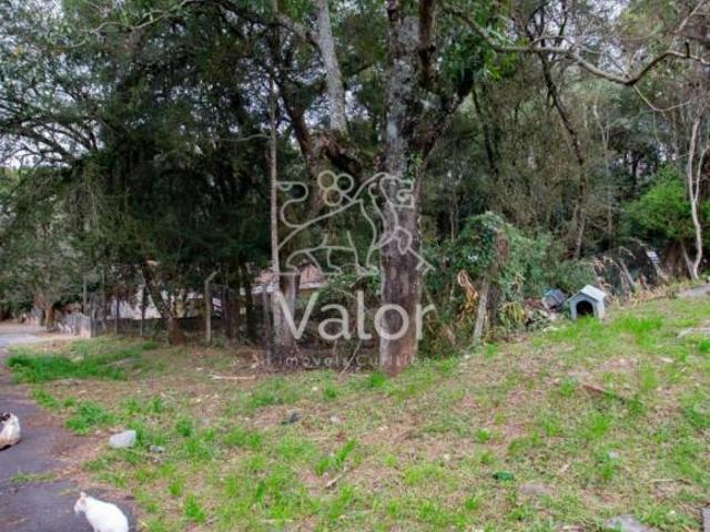 Santa Felicidade, Terreno 755 m² em Localização Privilegiada