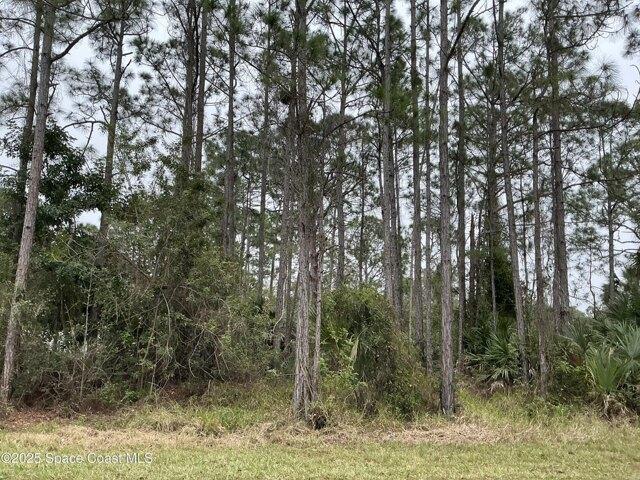Santa Rosa Ave Sw, Palm Bay, Plot For Sale