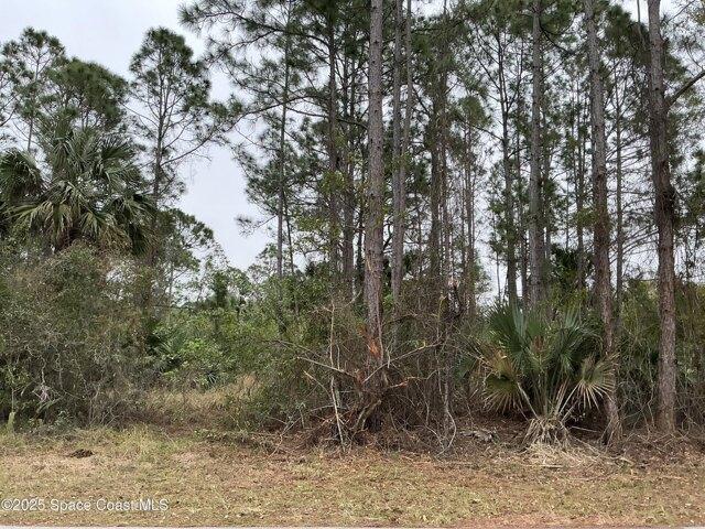 Santa Rosa Ave Sw, Palm Bay, Plot For Sale