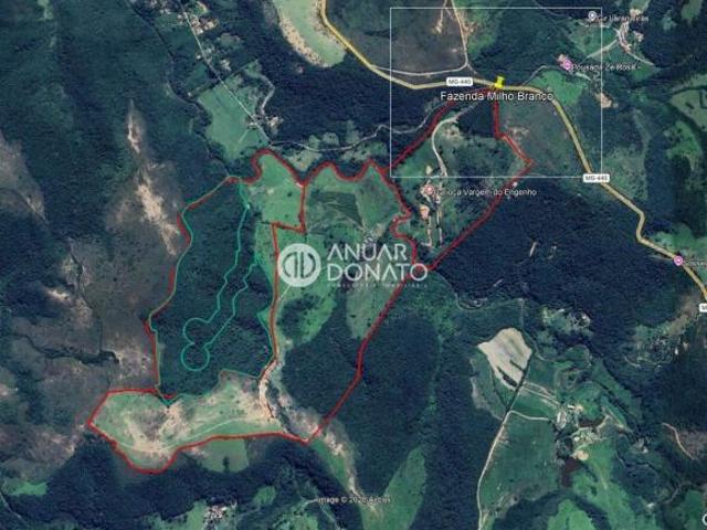 Santo Antônio do Leite Fazendas / Sítios 1 quarto à venda na Anuar Donato