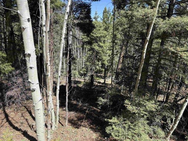 Santo Domingo Trl Lot 716, Angel Fire, NM 87710