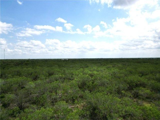 San Diego Tract Crk # 16, San Diego, TX 78384