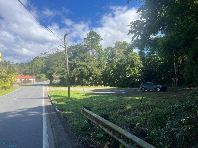 San Lorenzo CA 00754 104603857