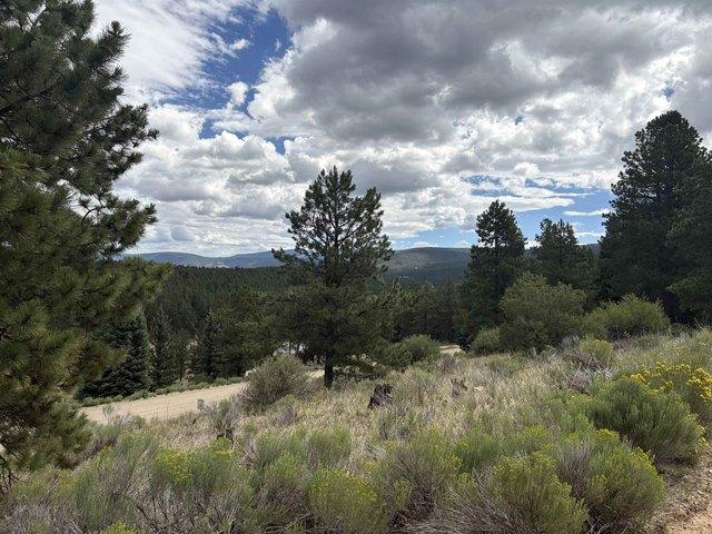 San Mateo Dr Lot 128, Angel Fire, NM 87710
