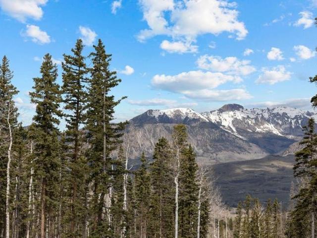 San Sophia Dr Lot 351, Mountain Village, CO 81435