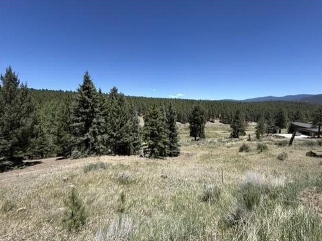 San Pedro Lot 1331A, Angel Fire, NM 87710