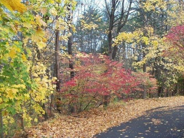 Sanborn St, Laconia, Plot For Sale