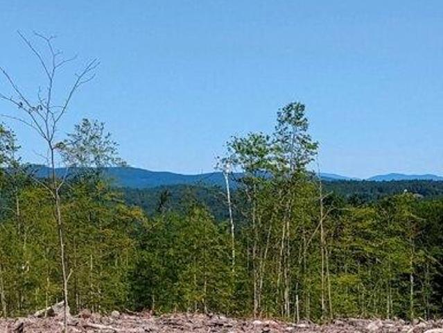 Sanbornton NH 03269 104789638