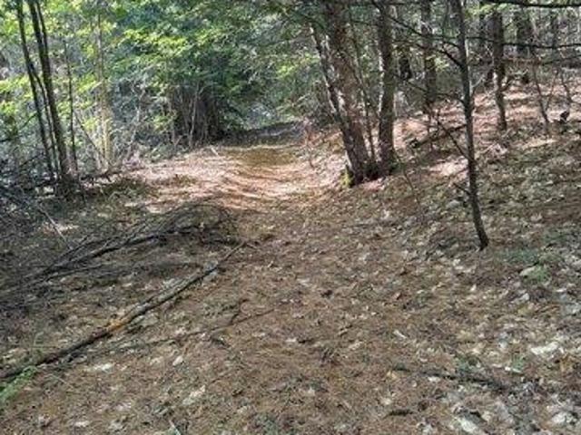 Sanbornton NH 03269 104834274