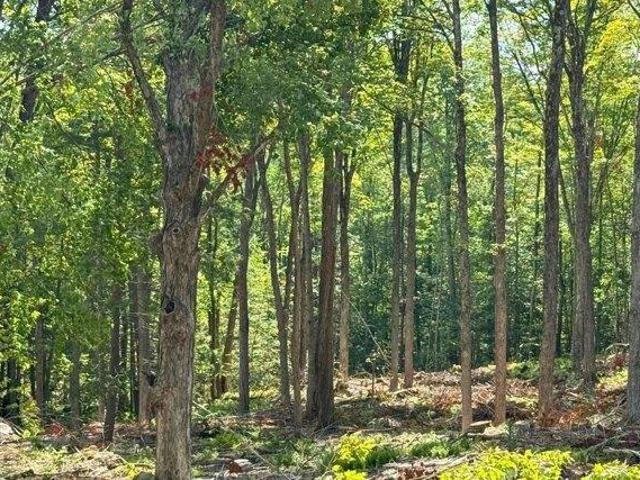 Sanbornton NH 03269 105144529