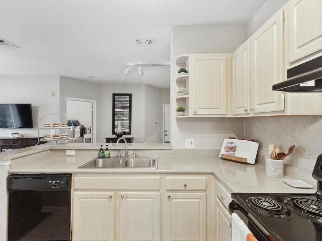 Sanctuary at Highland Oaks 1 Bedroom Apartment for Rent at 10246 Douglas Oaks Cir, Tampa, FL 33610