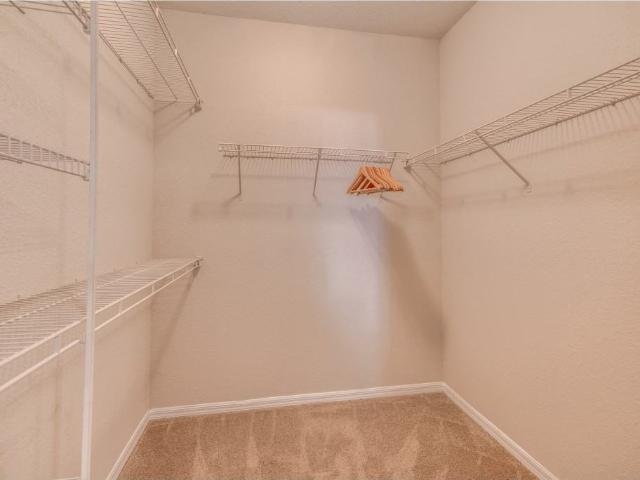 Sanctuary at Highland Oaks 2 Bedroom Apartment for Rent at 10246 Douglas Oaks Cir, Tampa, FL 33610