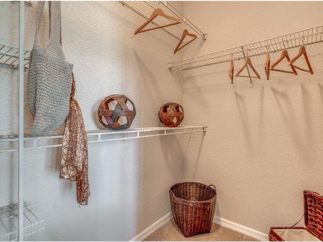 Sanctuary at Highland Oaks 2 Bedroom Apartment for Rent at 10246 Douglas Oaks Cir, Tampa, FL 33610