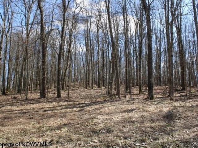 Sand Bank Heights Rd Lot 6, Masontown, WV 26542