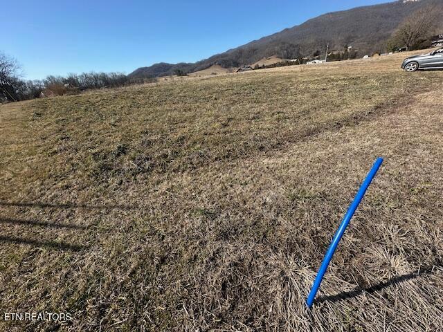 Sand Cave Rd, Ewing, VA 24248