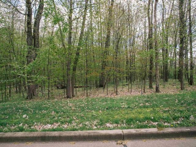 Sand Ln Lot 28, Neillsville, WI 54456