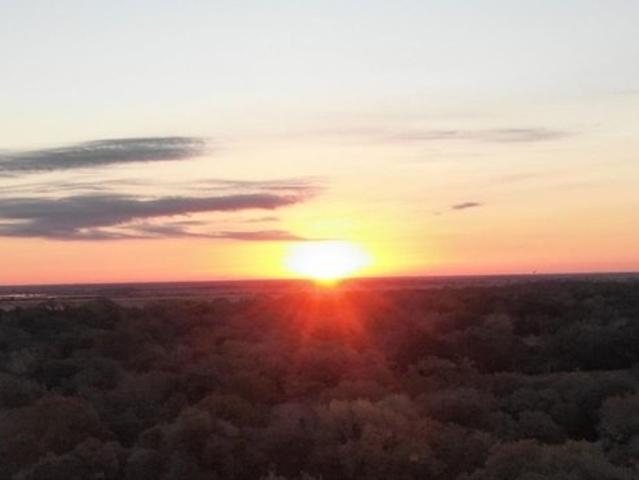 Sand Rd, Cat Spring, TX 78933