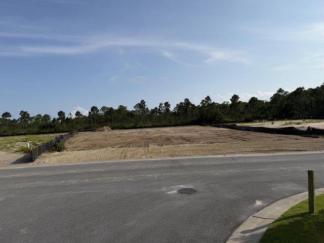 Sandcord Dr, Inlet Beach, FL 32461