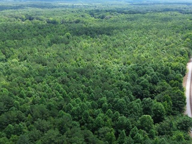 Sandcut Rd, Nauvoo, AL 35578