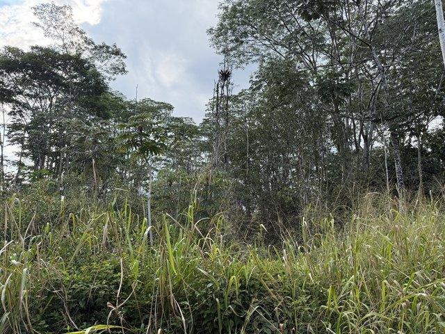 Sandalwood Ct, Kurtistown, HI 96760