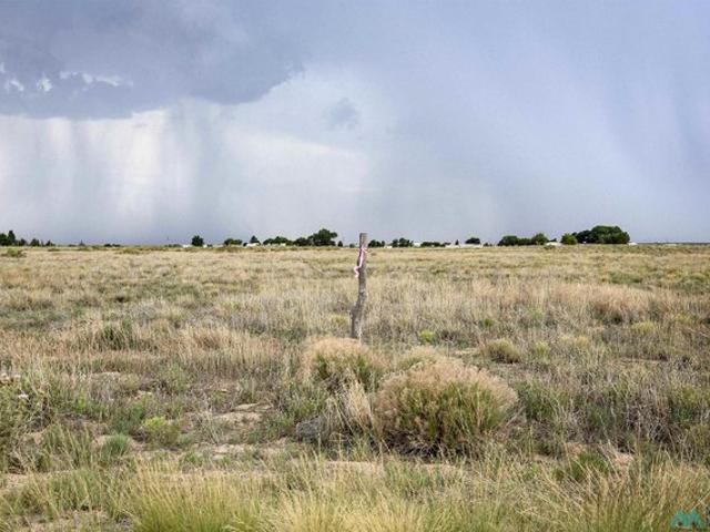 Sandhill Ave, Roswell, NM 88201