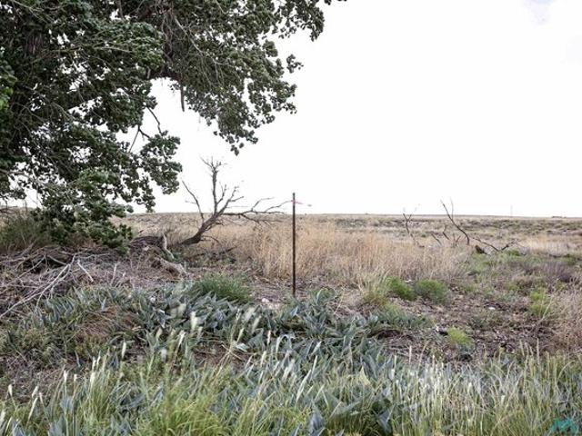 Sandhill Ave, Roswell, NM 88201